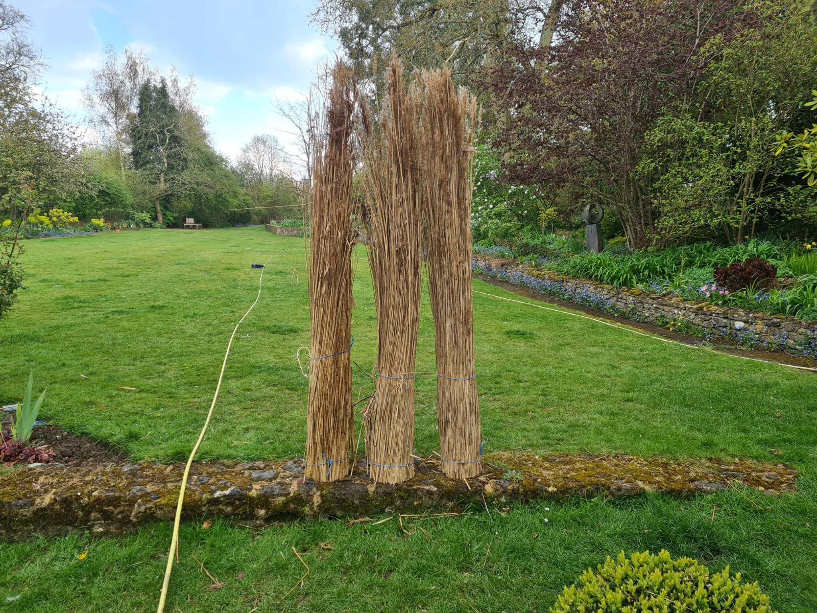 Straw and reed shortages continue to threaten the traditional craft of ...