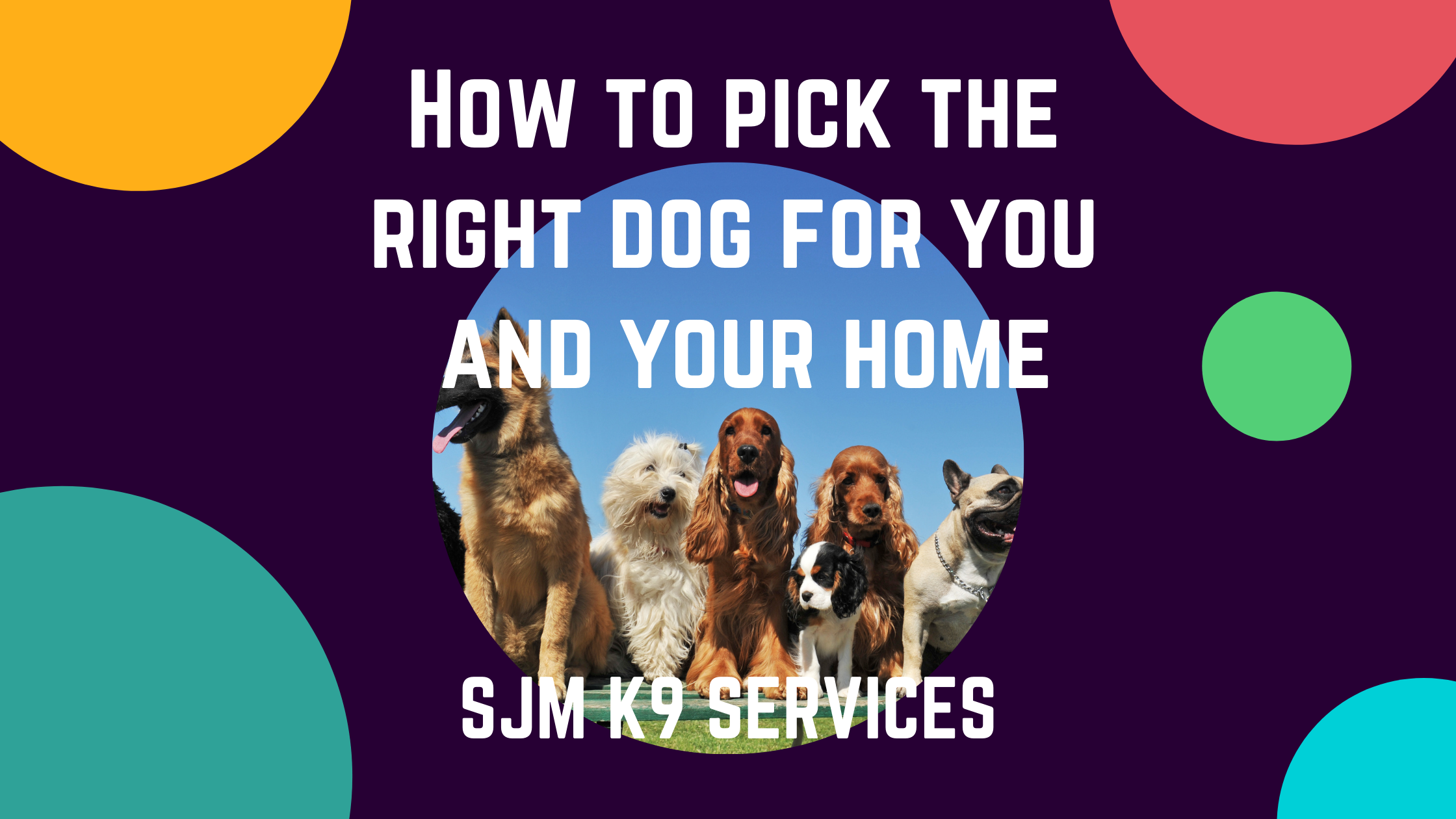 How to pick the right dog for your family to avoid future challenges ...