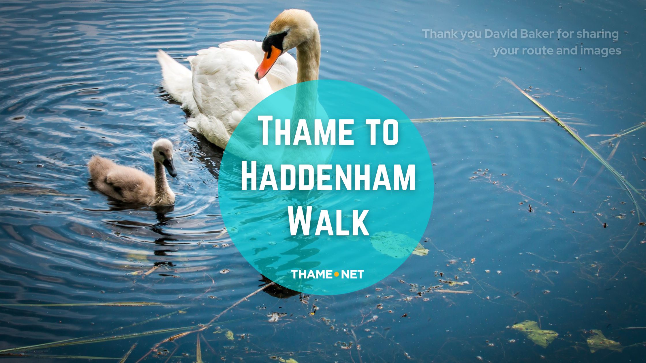 Thame to Haddenham round trip - Discover Thame - Thame.net